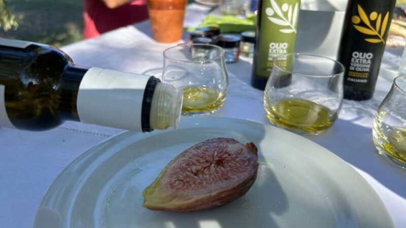 Oristano: Olive Tree Grove Guided Visit with Tasting - The Sum Up