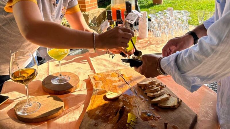 Oristano: visit a farm with oil tasting - Key Points