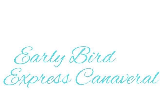 Orlando Airport to Port Canaveral & Cocoa Beach Private Transfer - Who Is This Service Best For?