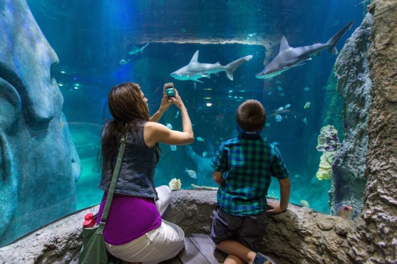 Orlando: All-Inclusive Pass with Kennedy Space Center - Visitor Experience and Practical Considerations