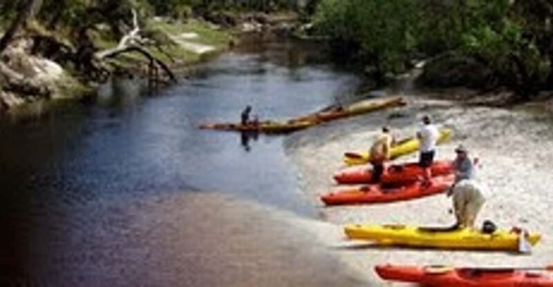 Orlando Alligator Experience: Day-Trip From Orlando - Itinerary Breakdown