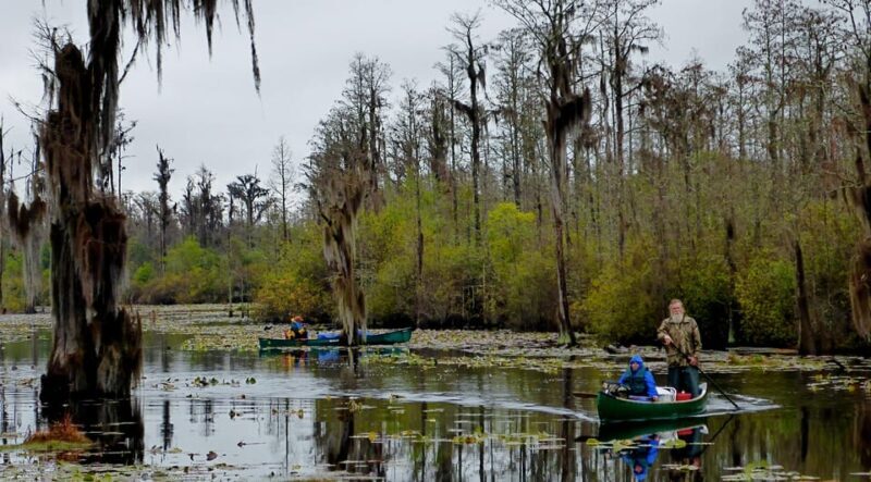 Orlando Alligator Experience: Day-Trip From Orlando - Authentic Experiences and Reviews