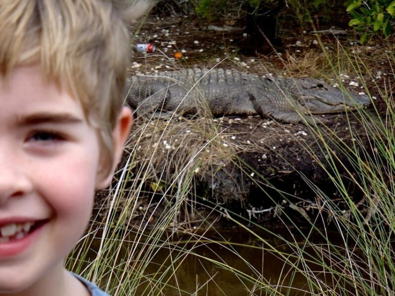 Orlando Alligator Experience: Day-Trip From Orlando - The Sum Up