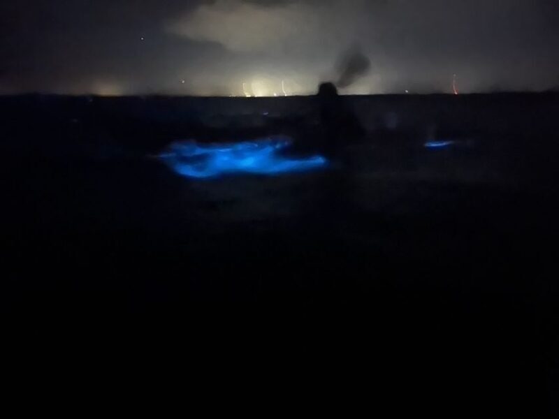 Orlando: Bioluminescence Kayak Adventure - Understanding the Setting and Its Significance