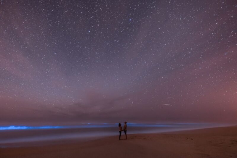Orlando: Bioluminescence Kayak Adventure - FAQ