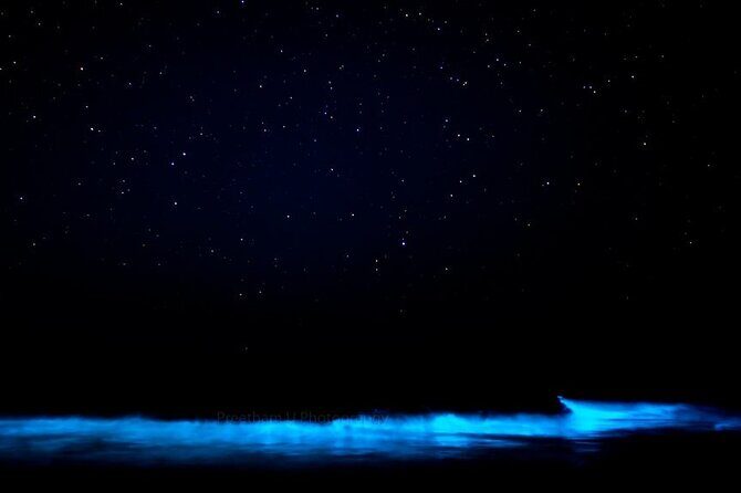 Orlando Bioluminescence Kayak Adventure - Authentic Encounters and Real Travelers’ Thoughts
