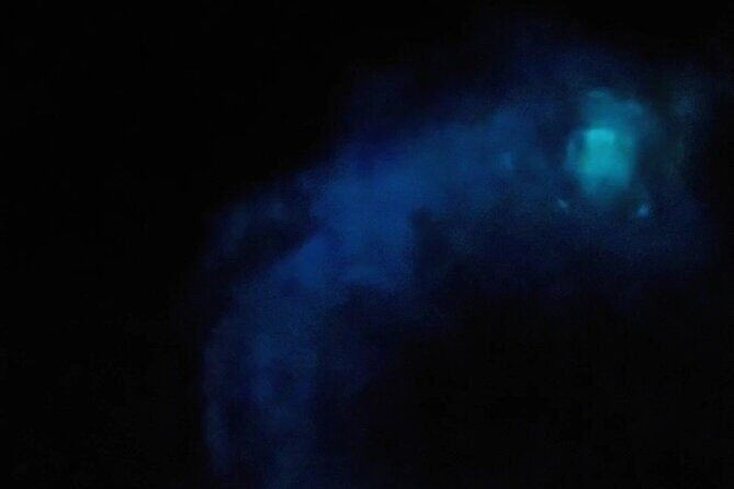 Orlando Bioluminescence Kayak Adventure - FAQs