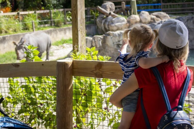 Orlando: Central Florida Zoo Skip-the-Line Ticket - An In-Depth Look at the Central Florida Zoo Experience