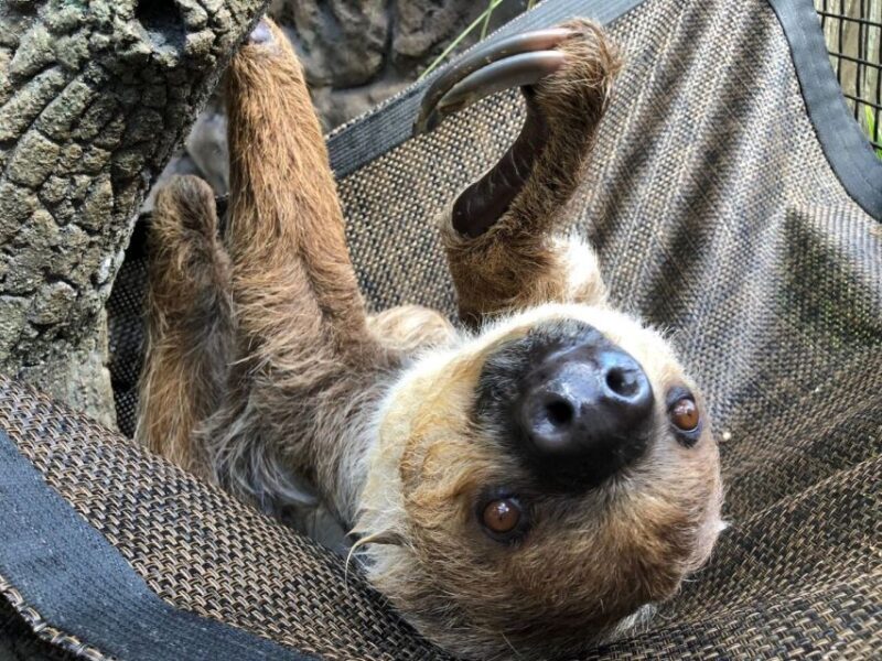 Orlando: Central Florida Zoo Skip-the-Line Ticket - FAQ