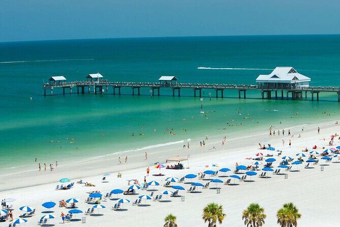 Orlando, Clearwater and Kennedy Space 4-Days Small Group Tour - Day 1: Arrival and Disney Springs Night Tour