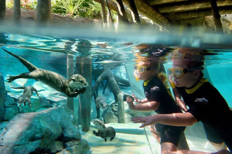 Orlando: Discovery Cove Admission Ticket & Additional Parks - The Practicalities: What You Should Know