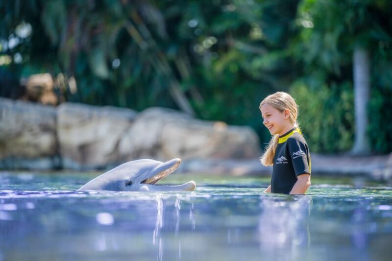 Orlando: Discovery Cove Admission Ticket & Additional Parks - The Sum Up: Is Discovery Cove Right for You?