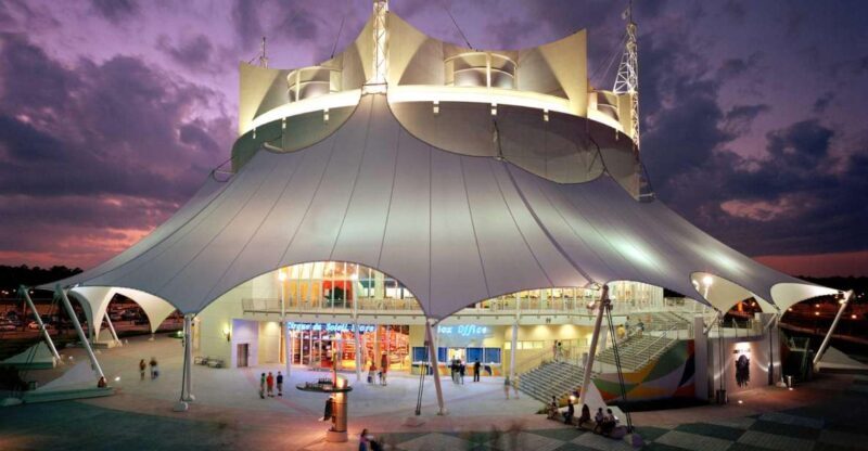 Orlando: "Drawn to Life" Cirque du Soleil Entry Pass - Insights From Reviews and Audience Feedback