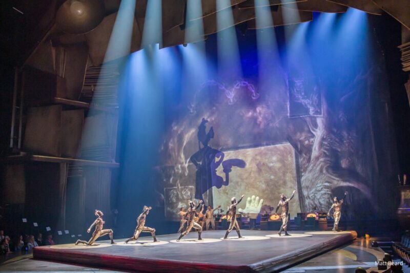 Orlando: "Drawn to Life" Cirque du Soleil Entry Pass - Who Will Love This Show?