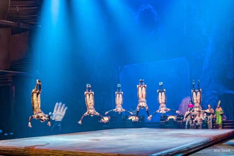 Orlando: "Drawn to Life" Cirque du Soleil Entry Pass - FAQ