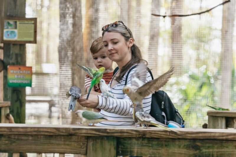 Orlando: Drive-Thru Safari Park at Wild Florida - Value for Money