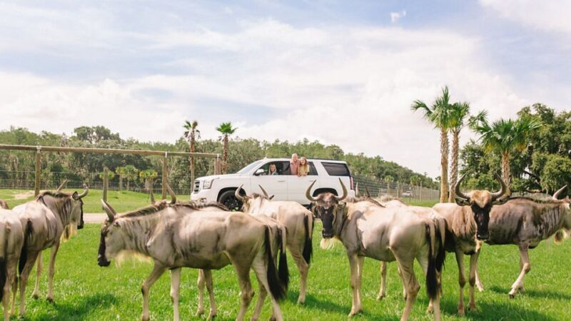 Orlando: Drive-Thru Safari Park at Wild Florida - Final Thoughts