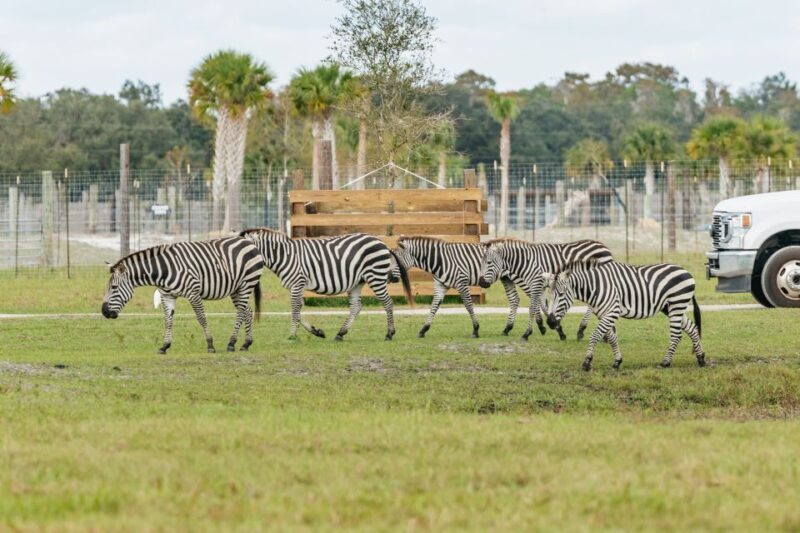 Orlando: Drive-Thru Safari Park at Wild Florida - FAQs