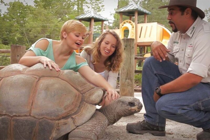 Orlando: Gatorland Interactive Tour with Animal Trainer - Key Points