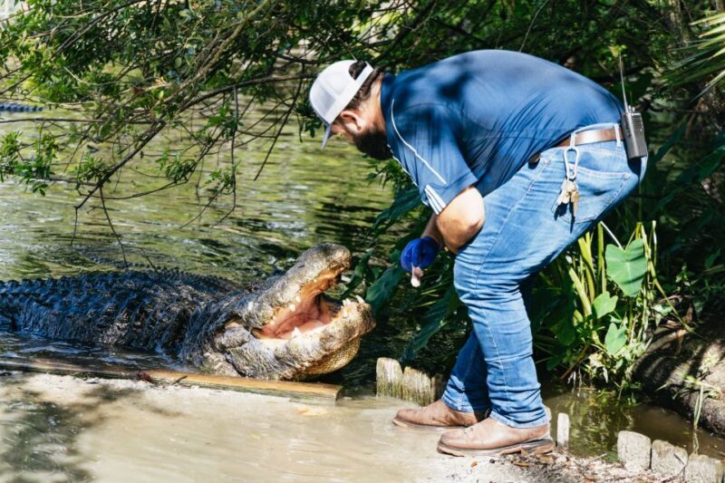 Orlando: Gatorland Skip-the-Line Ticket - What to Expect at Gatorland
