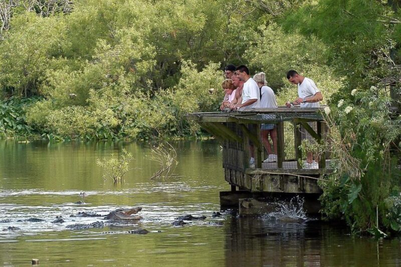 Orlando: Gatorland Skip-the-Line Ticket - Authenticity and the Park’s Conservation Role