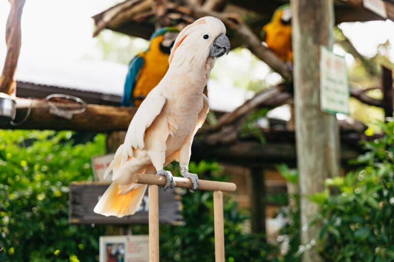 Orlando: Gatorland Skip-the-Line Ticket - Final Word
