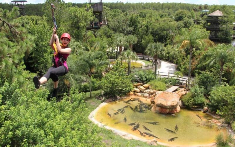 Orlando: Gatorland Zipline Adventure w/ Full-Day Park Access - Key Points