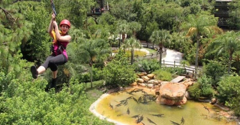 Orlando: Gatorland Zipline Adventure w/ Full-Day Park Access - The Experience in Detail