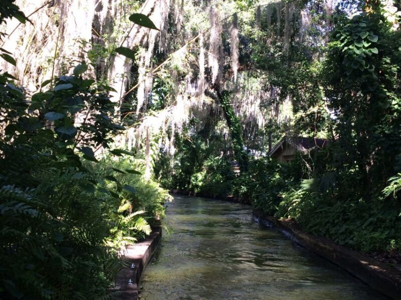 Orlando: Half-Day Sightseeing Tour + Eat & Play Savings Card - Practical Details: Transportation, Guides, and Comfort