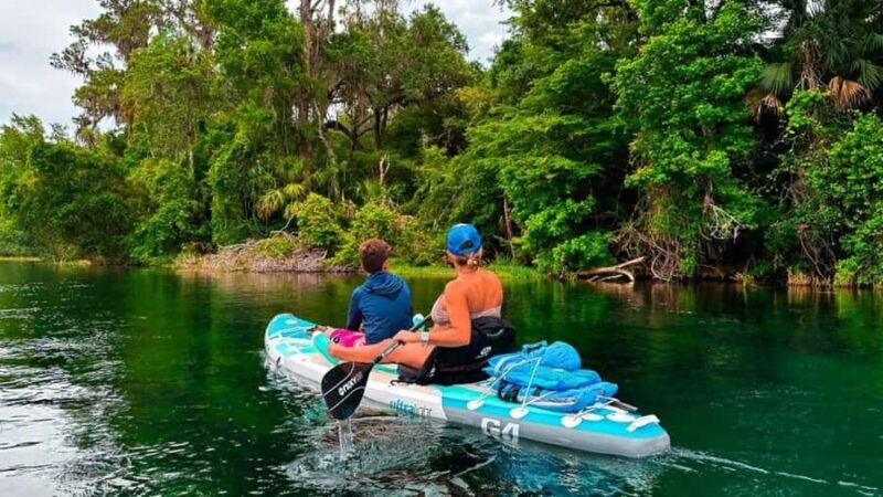 Orlando: Lake Conway Paddle Board or Kayak Tour - Key Points