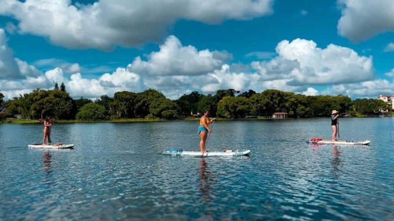 Orlando: Lake Conway Paddle Board or Kayak Tour - An Introduction to Lake Conway and the Tour Experience