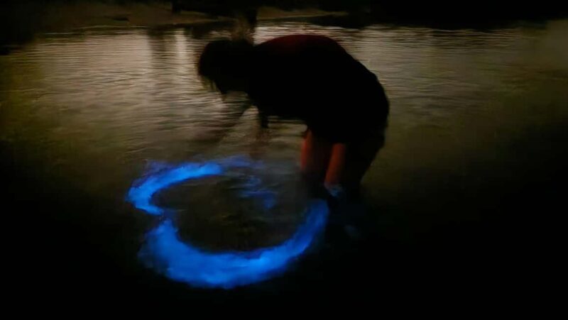 Orlando: Magic After Dark Bioluminescence Kayak Tour - What to Expect on the Tour