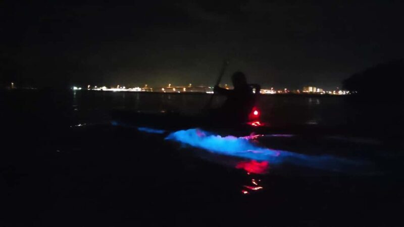 Orlando: Magic After Dark Bioluminescence Kayak Tour - The Value of the Experience