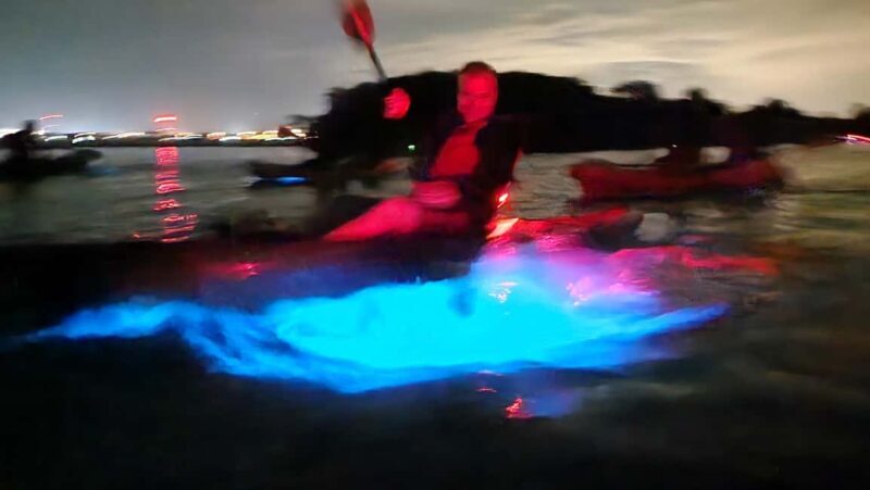 Orlando: Magic After Dark Bioluminescence Kayak Tour - Who Should Consider This Tour?