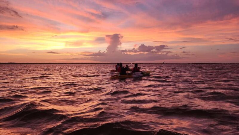 Orlando: Magic After Dark Bioluminescence Kayak Tour - The Sum Up