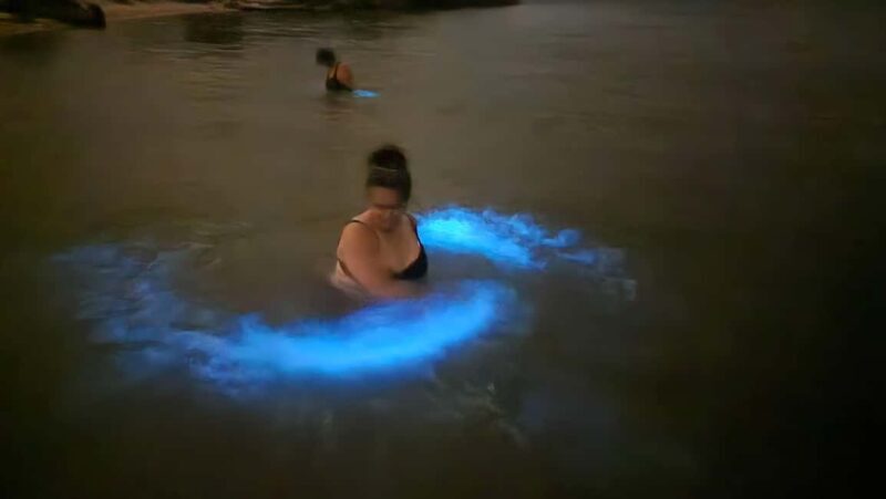 Orlando: Magic After Dark Bioluminescence Kayak Tour - FAQs