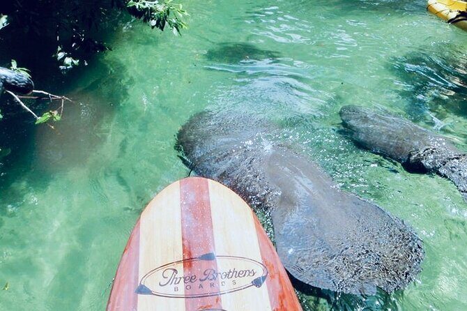 Orlando Manatee and Natural Spring Adventure Tour at Blue Springs - Discovering Blue Springs: a Serene Floridian Escape
