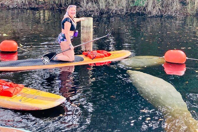 Orlando Manatee and Natural Spring Adventure Tour at Blue Springs - FAQ