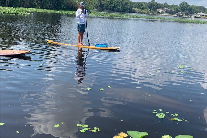 Orlando Manatee and Olde Florida History Adventure Tour - Introduction