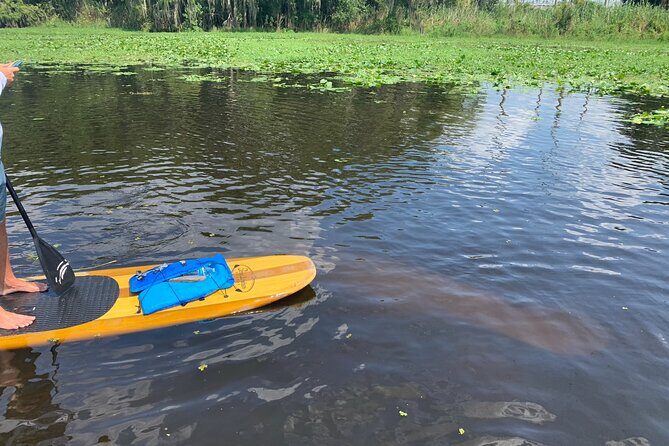 Orlando Manatee and Olde Florida History Adventure Tour - FAQ