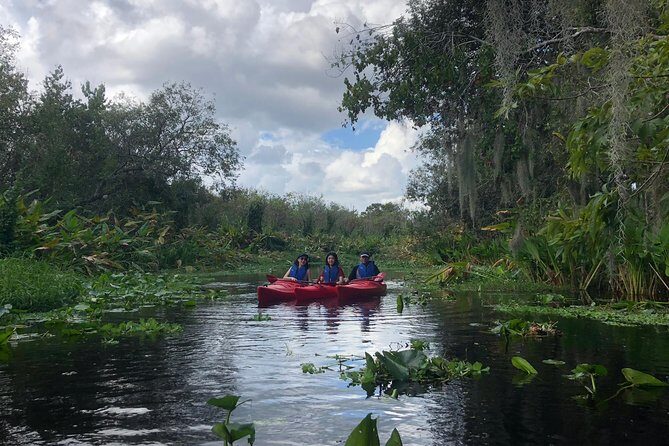 Orlando Manatee Encounters - Key Points