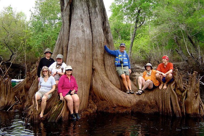 Orlando Manatee Encounters - Practical Considerations: What to Bring and How to Prepare