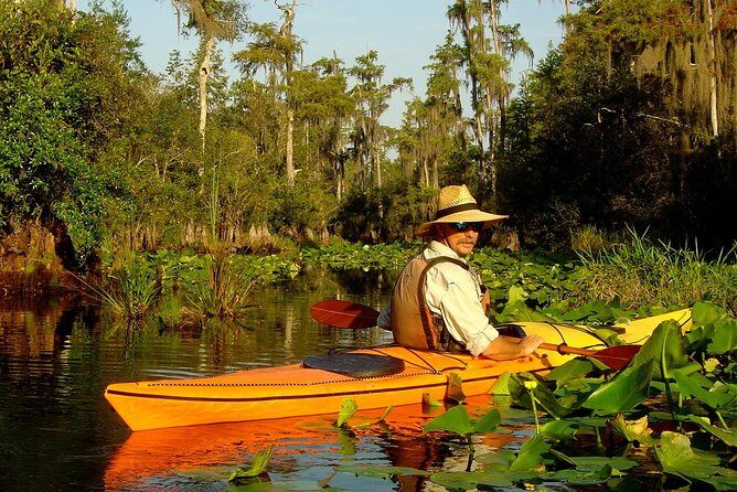Orlando Manatee Encounters - Who Will Love This Tour?