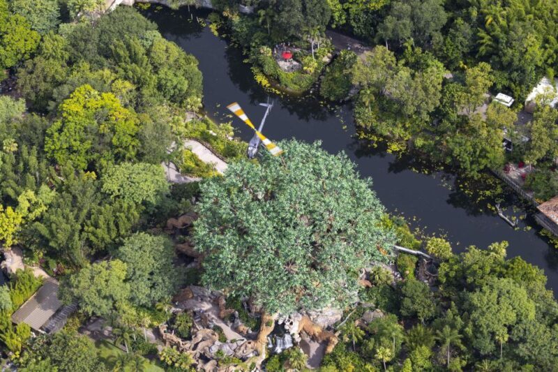 Orlando: Narrated Helicopter Flight Over Theme Parks - Who Should Consider This Tour?