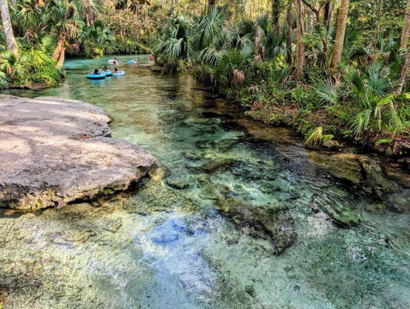Orlando: Rock Springs Tubing & Apopka Wildlife Trail Tour - Key Points