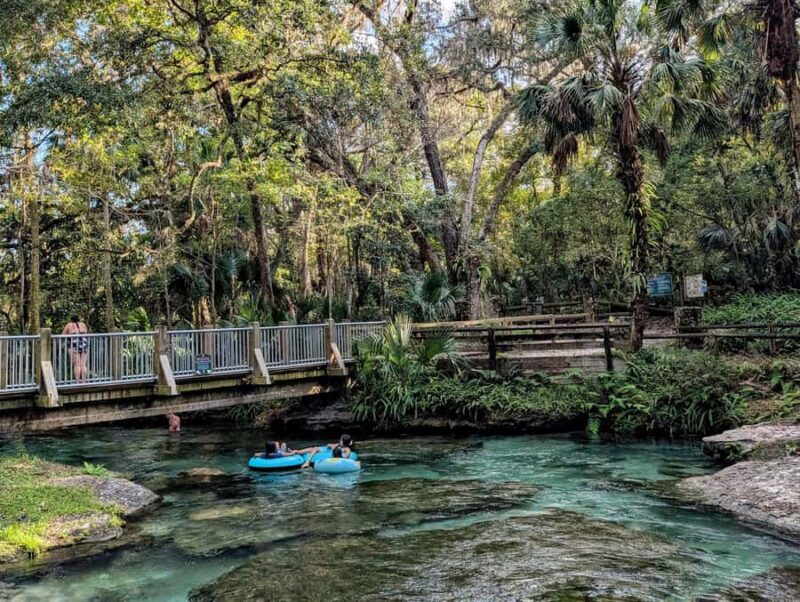 Orlando: Rock Springs Tubing & Apopka Wildlife Trail Tour - An Authentic Day in Florida’s Nature: A Detailed Look