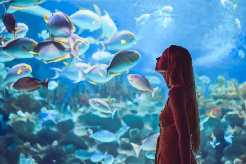 Orlando: SEA LIFE Orlando Aquarium - Authentic Experiences and Visitor Feedback