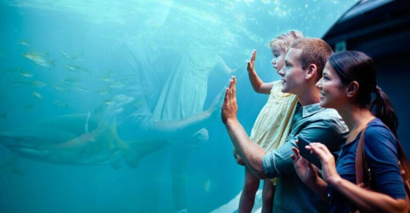 Orlando: SEA LIFE Orlando Aquarium - The Sum Up