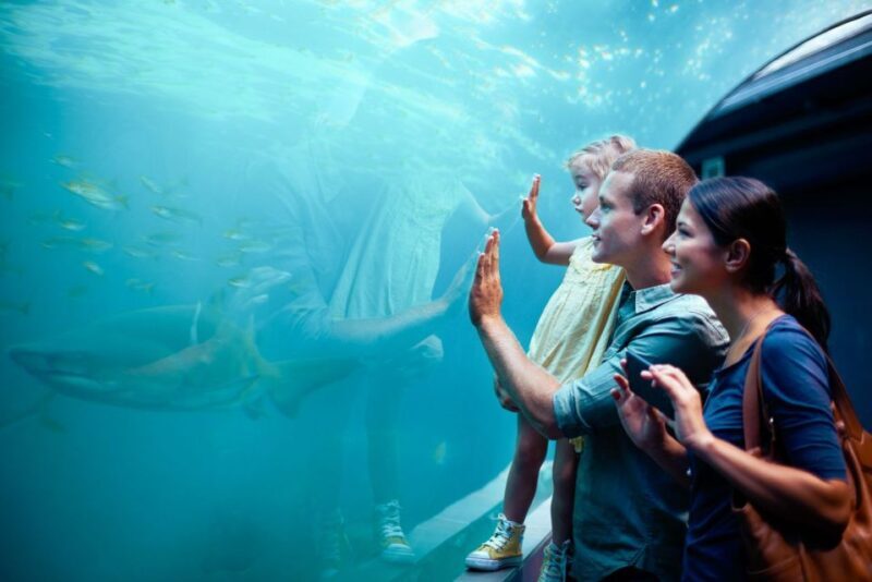 Orlando: SEA LIFE Orlando Aquarium - FAQs About SEA LIFE Orlando Aquarium