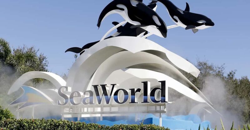 Orlando: SeaWorld Shuttle Service - Key Points